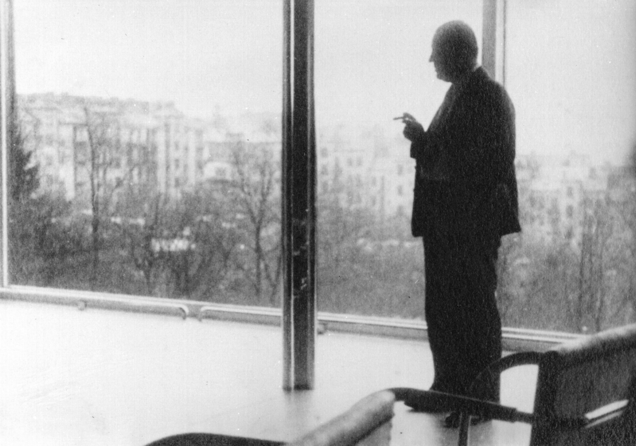THE ARCHITECT - Vila Tugendhat